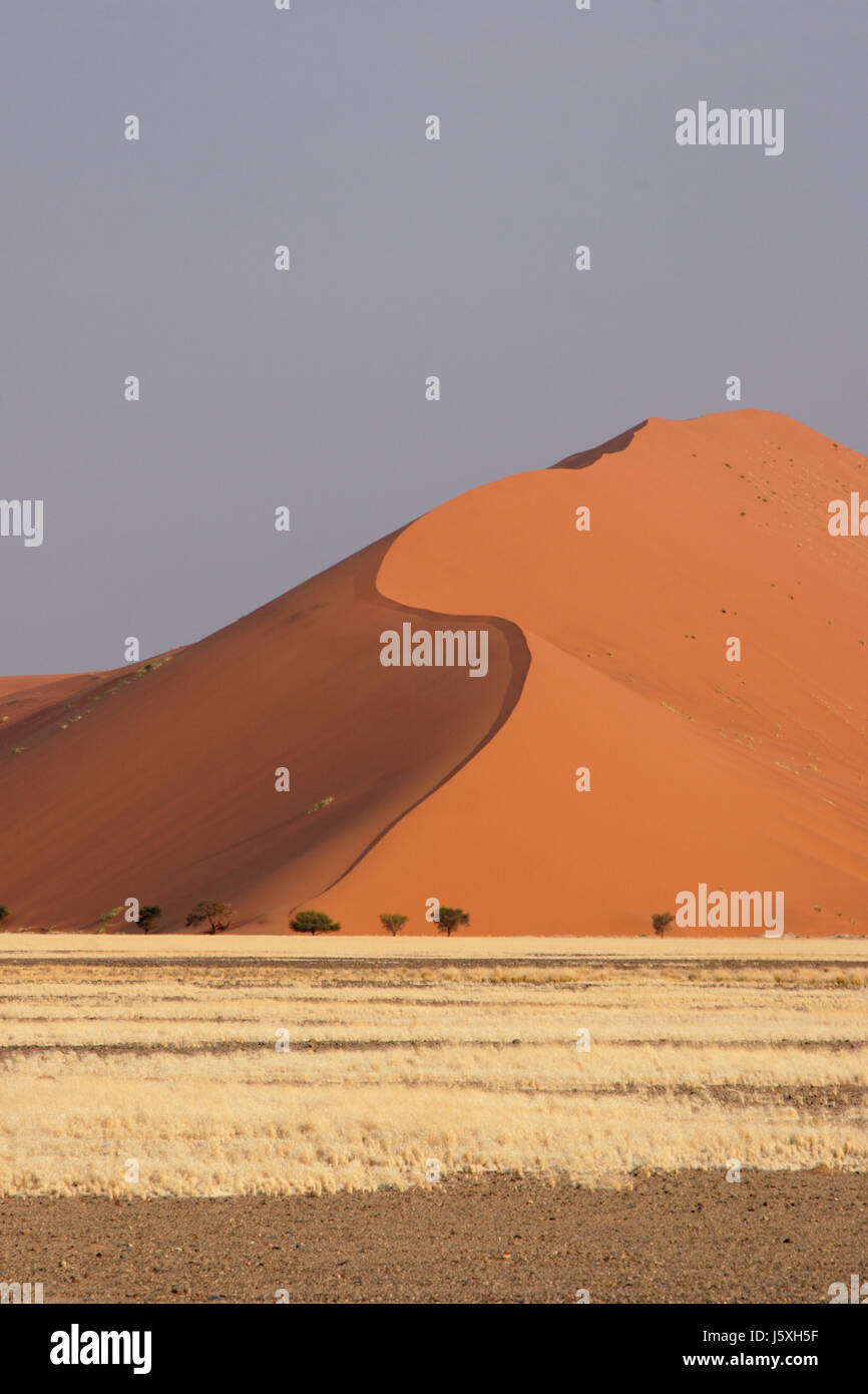 dune in namibia Stock Photo - Alamy