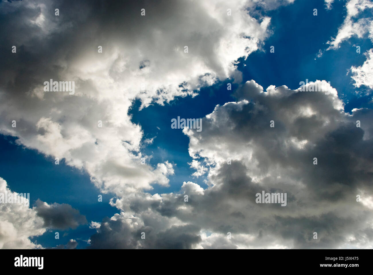 blue firmament sky clouds blue shine shines bright lucent light serene ...