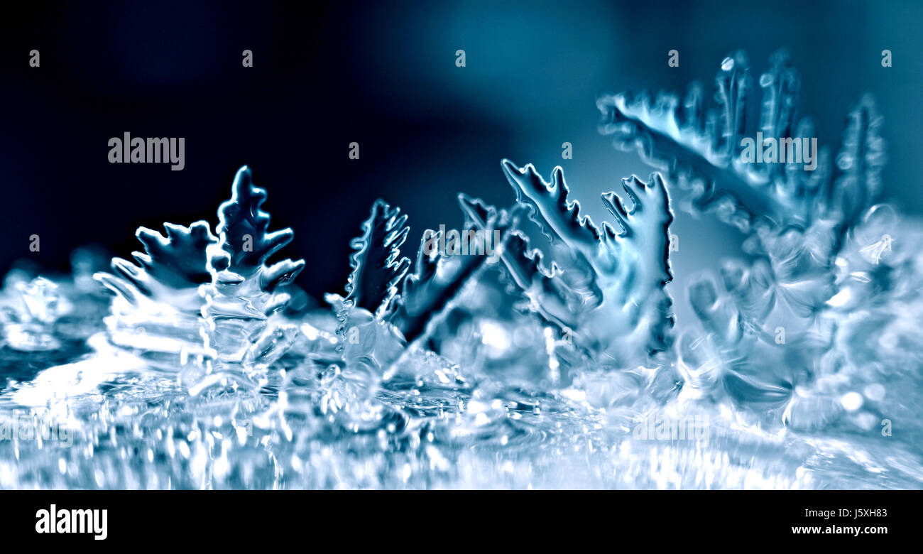 winter cold ice frost frozen crystals backdrop background blue winter ...