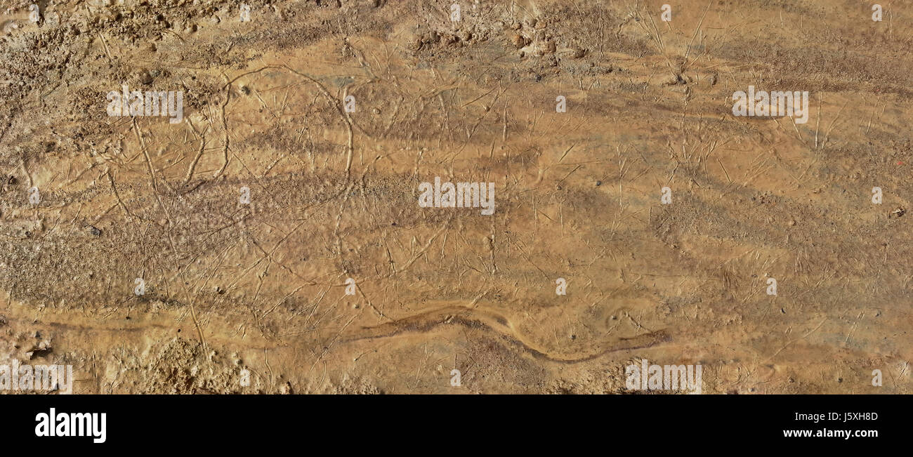 Fictional Mars Soil Panoramic Aerial View. Trace of Water on Mars Stock ...