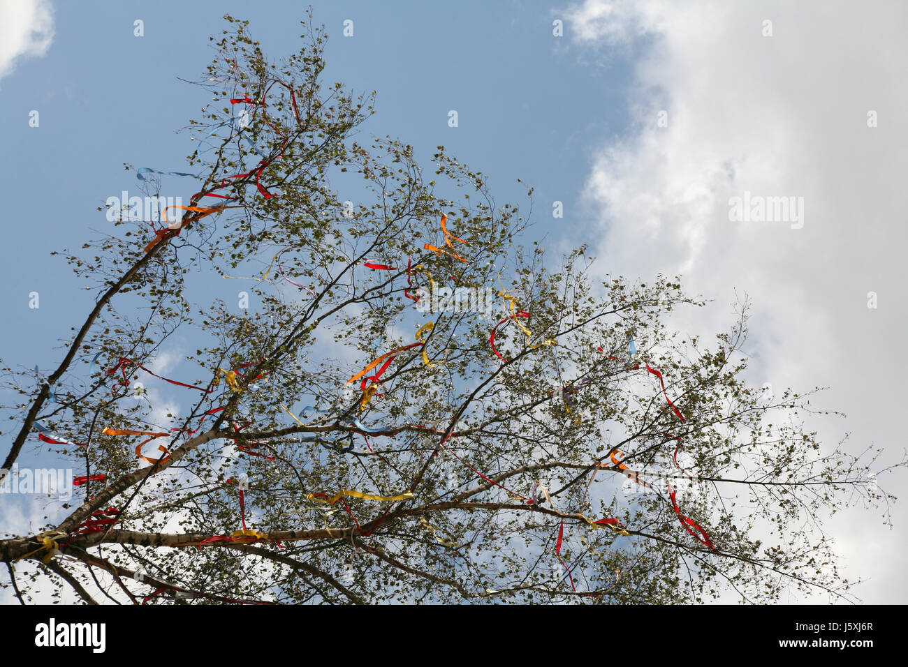 Maibirke hi-res stock photography and images - Alamy