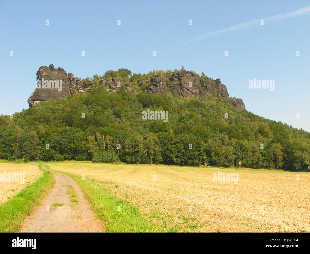 coleseed field path way mountain forest rock sandstone saxony scenery ...
