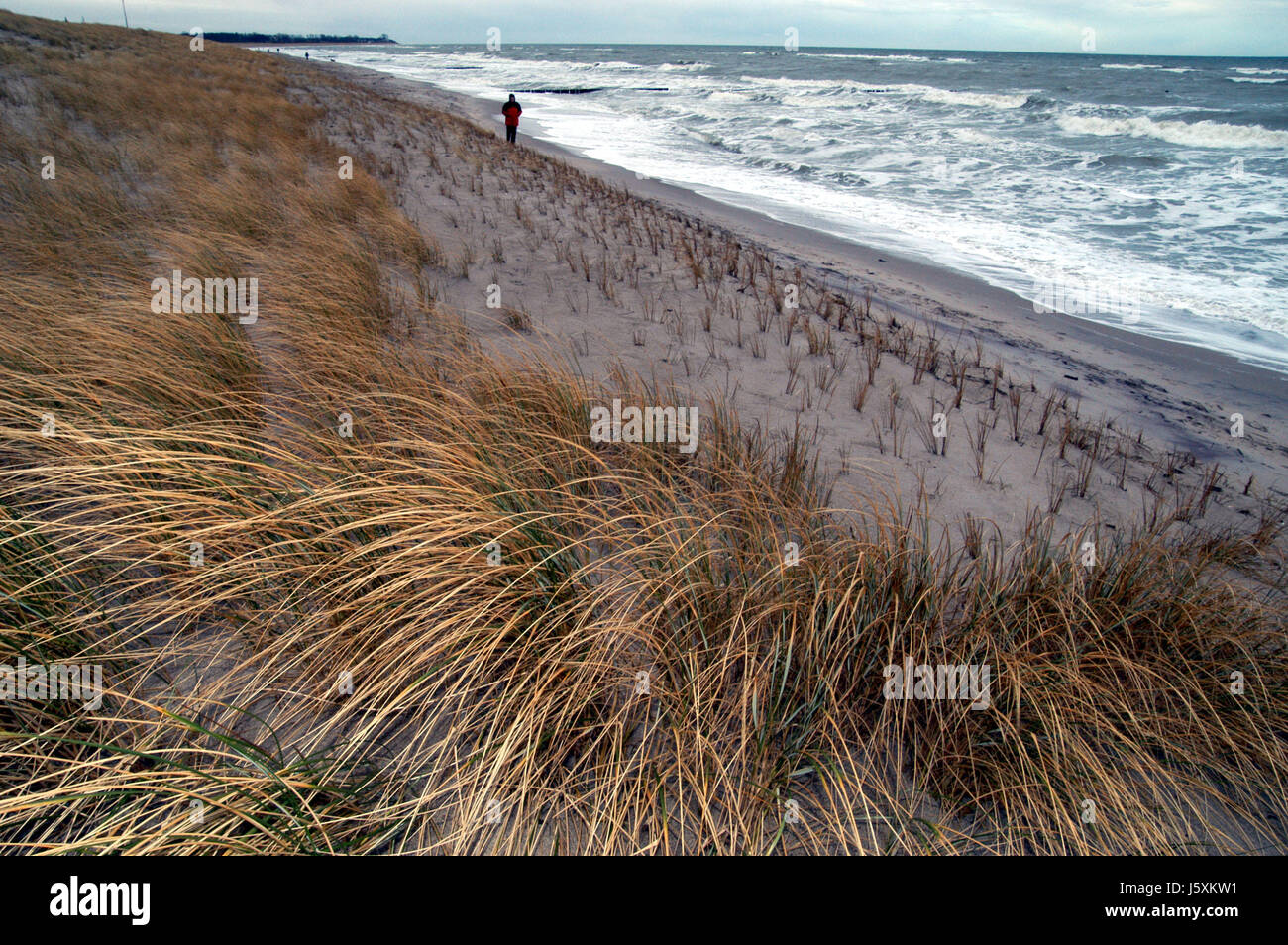 coast dune salt water sea ocean water bank shore shine shines bright ...