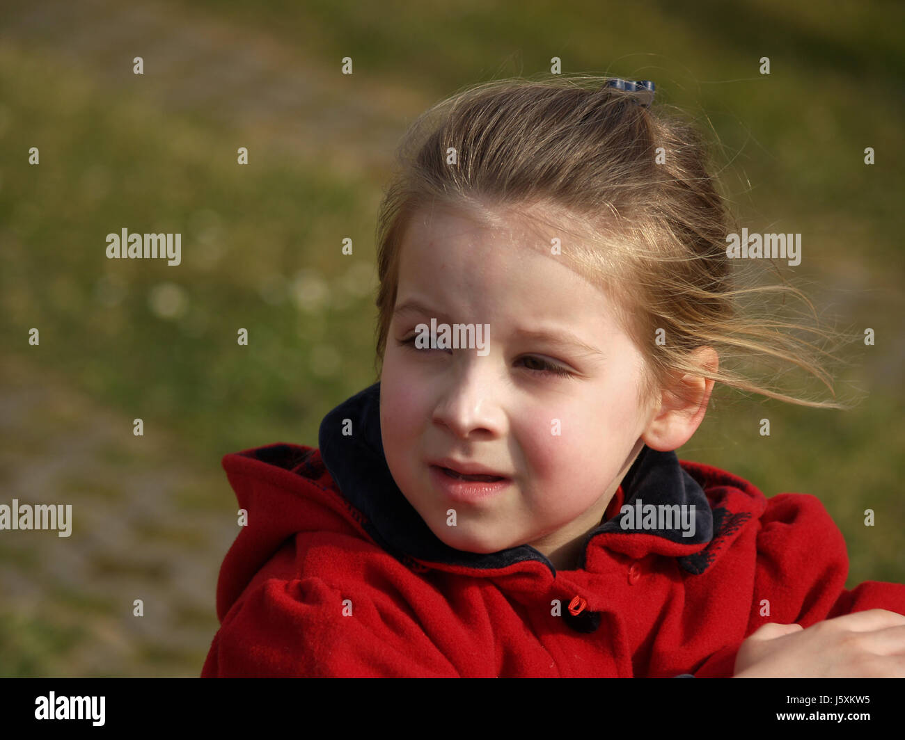 humans human beings people folk persons human human being girl girls ...