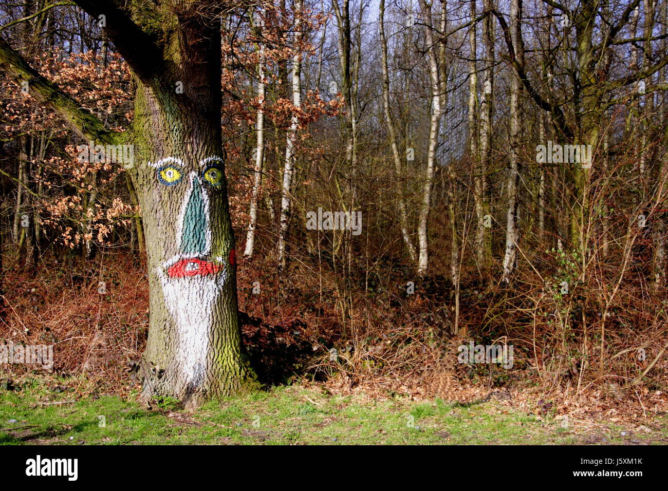 tree trees forest tree trees face branches meadow scenery countryside ...