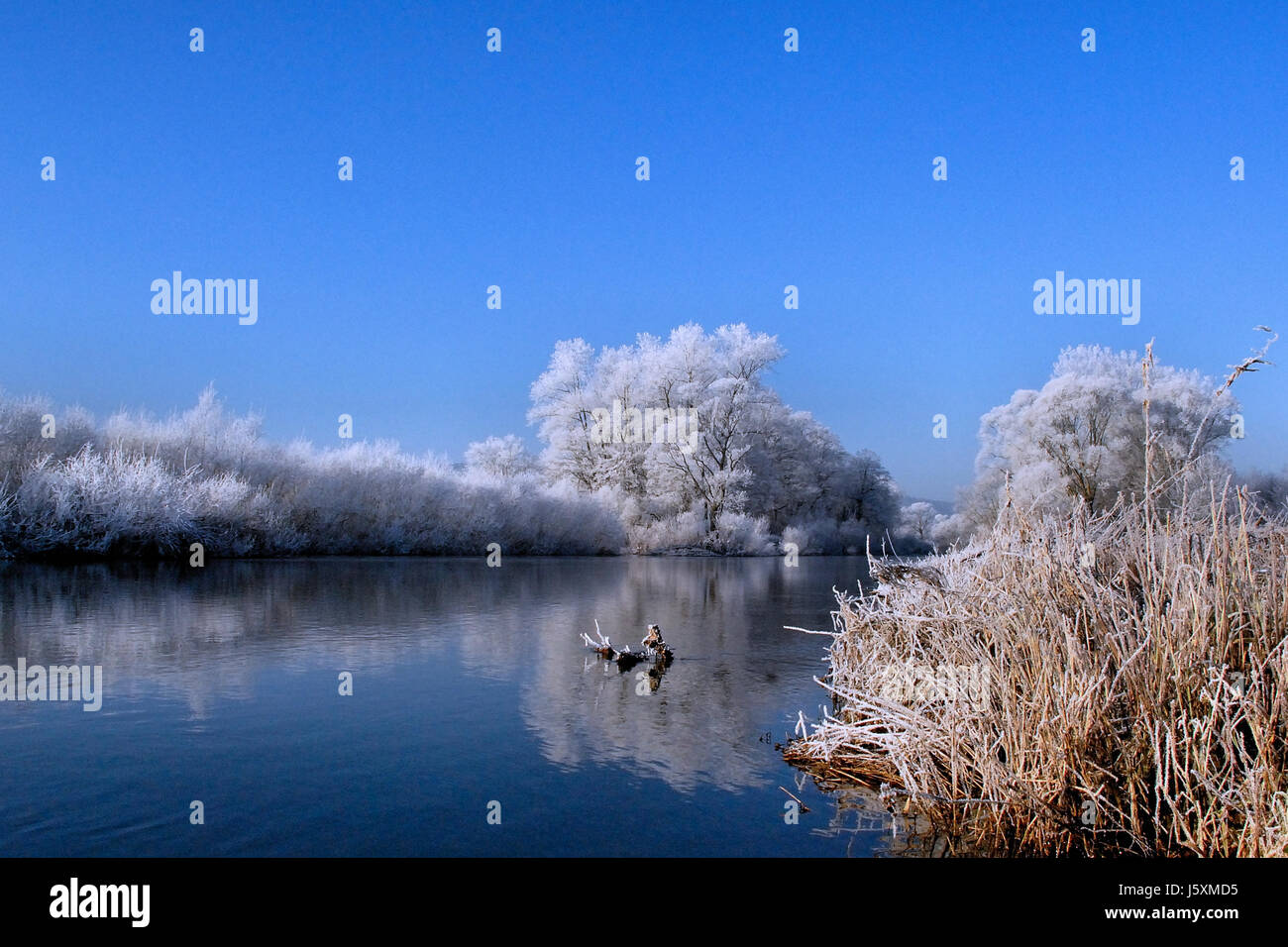 winter cold ripe frost hoarfrost frosty snow river water winter cold ...
