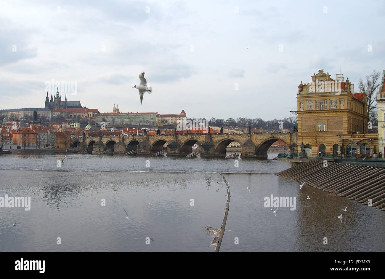 Moldauufer High Resolution Stock Photography and Images - Alamy