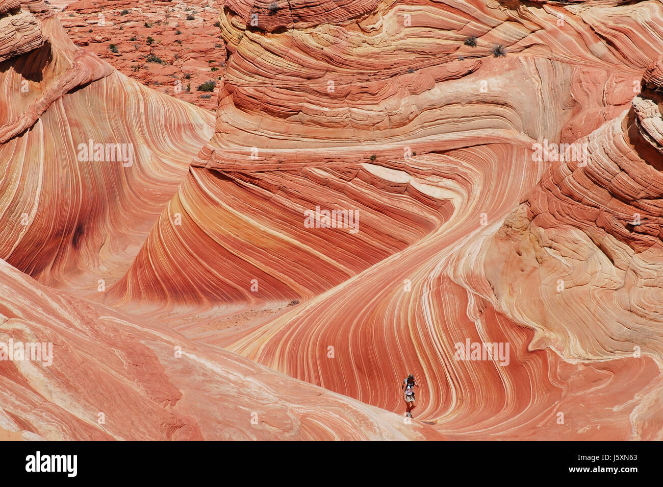 desert wasteland usa sandstone arizona waves sandstone grooves ...