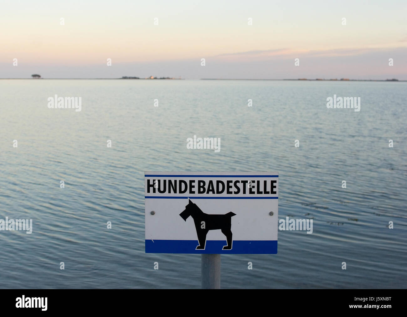 dog swimming sign on the beach maasholm Stock Photo - Alamy