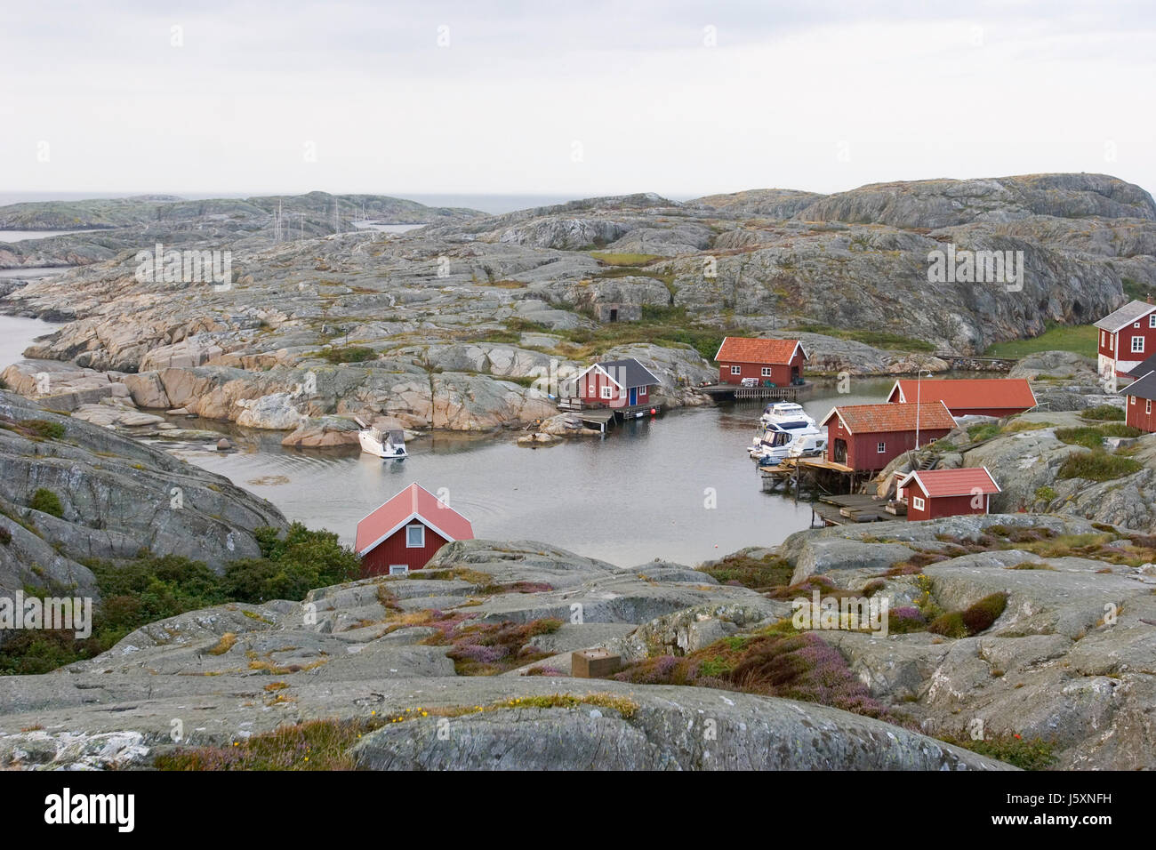natural harbor in swedish archipelago Stock Photo - Alamy
