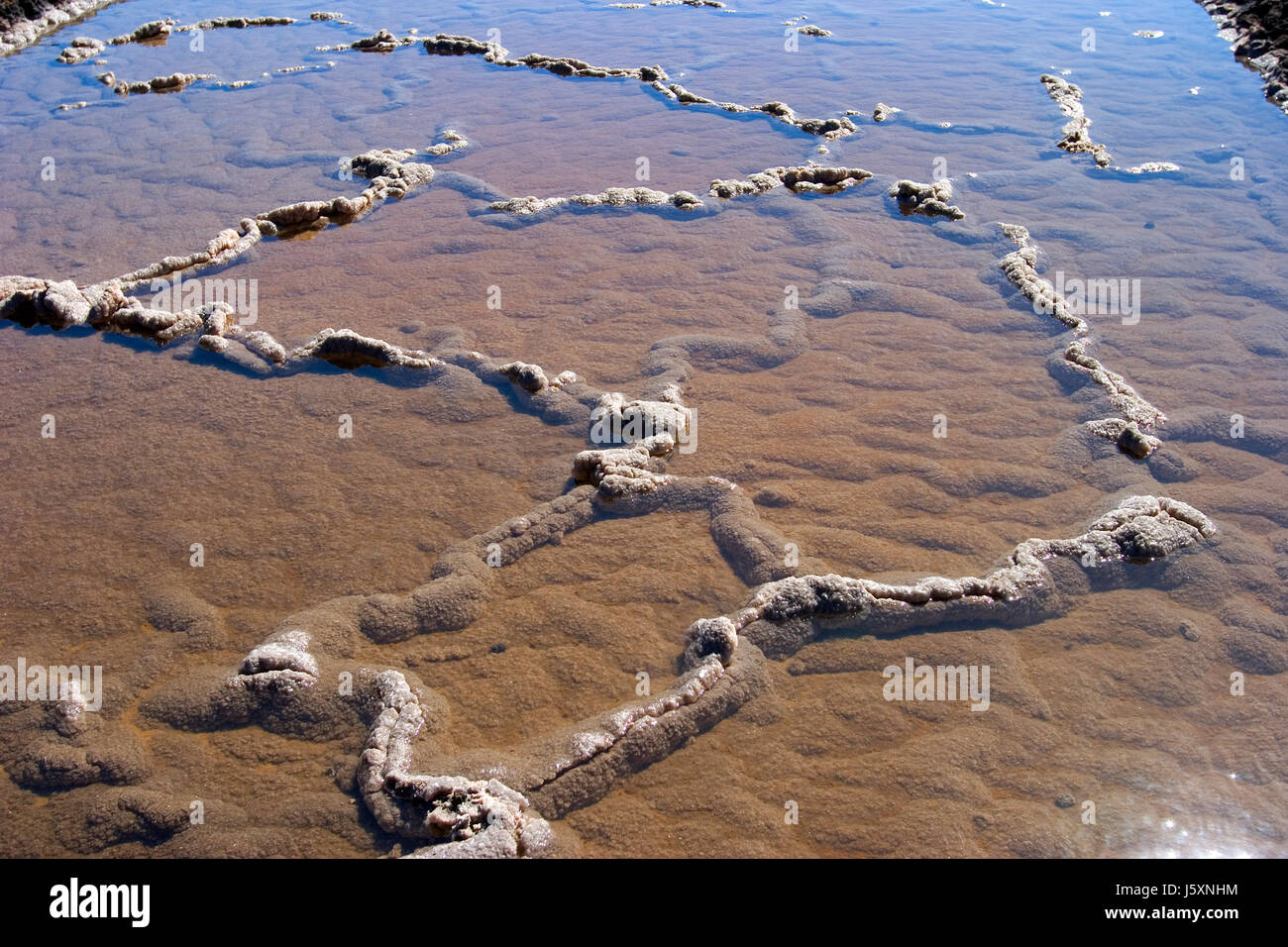 salt beach seaside the beach seashore canary islands volcanic saline ...