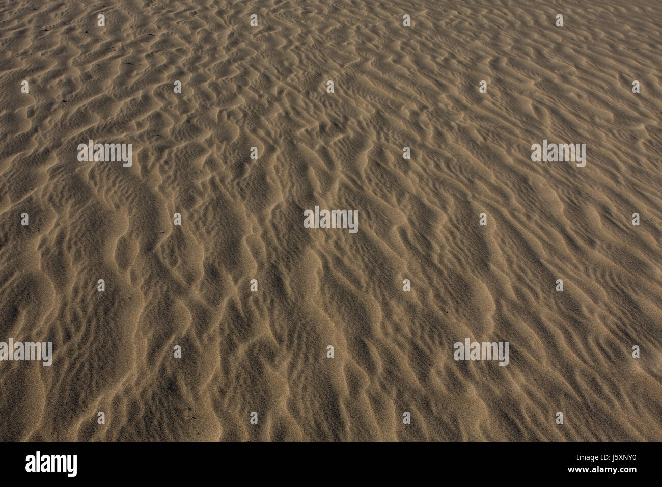 desert wasteland corrugated dune structure backdrop background sands ...