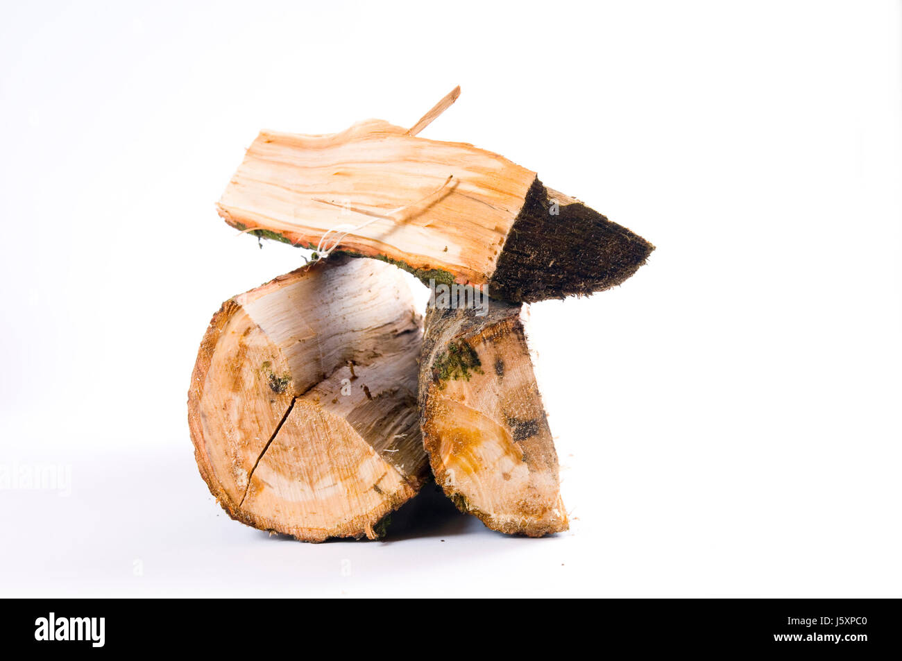 optional wood blank european caucasian log of wood isolated optional ...