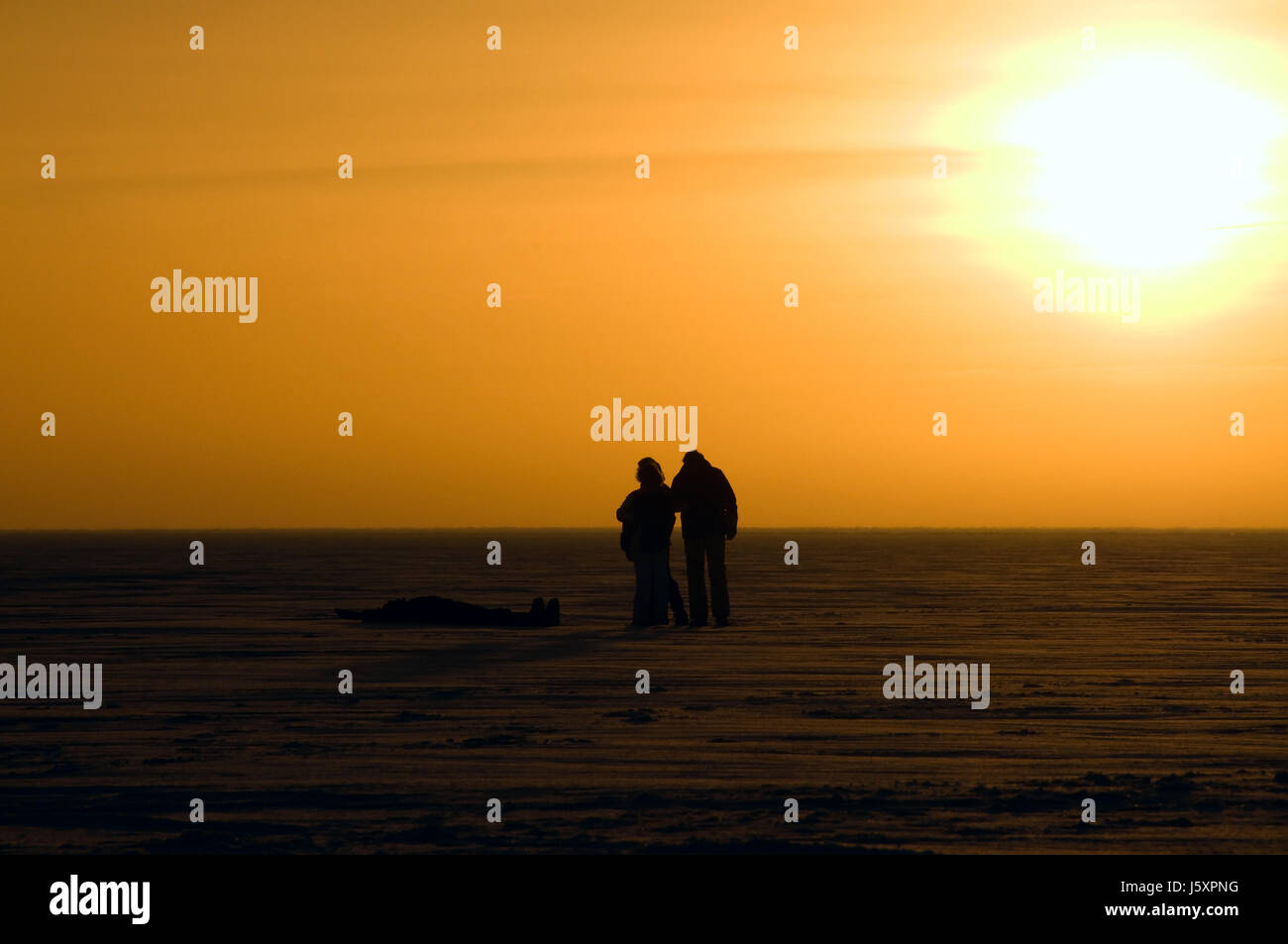 humans human beings people folk persons human human being horizon ...