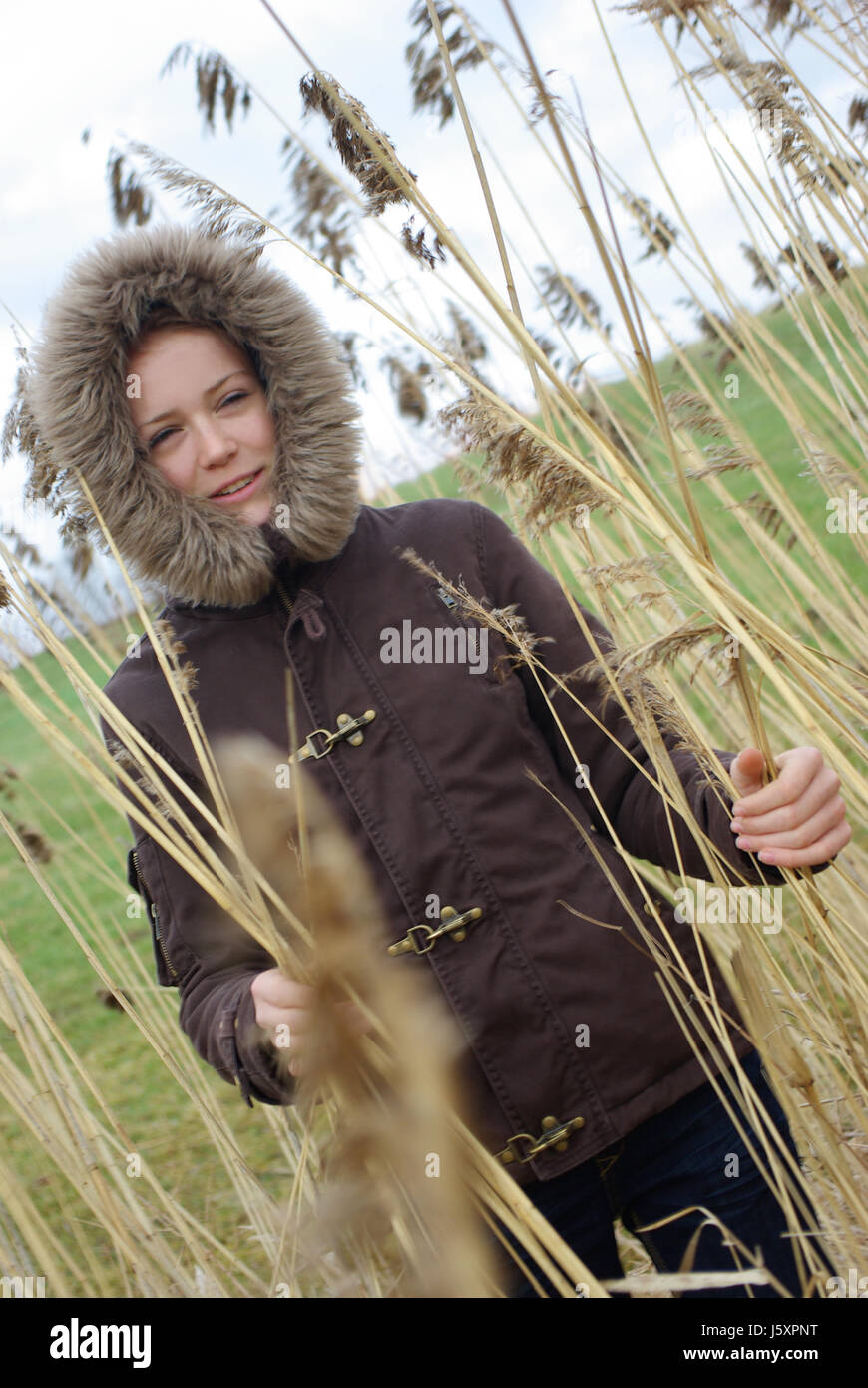 against the wind Stock Photo - Alamy
