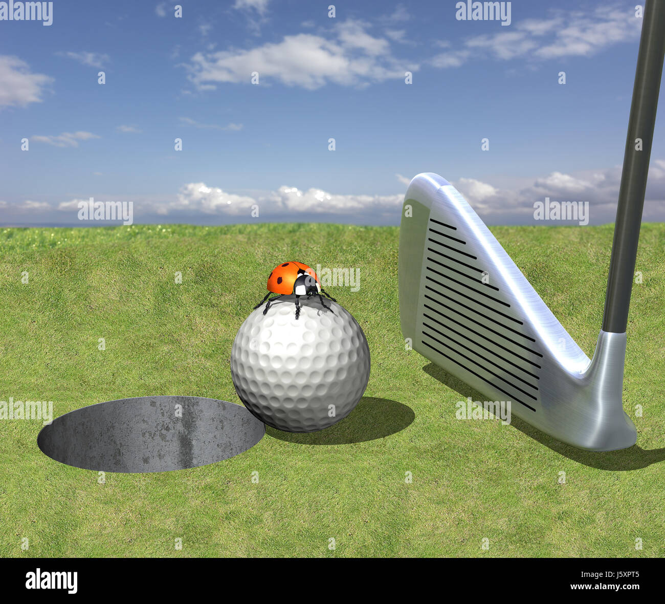 hit hole gulf rackets churl ball golf ball lucky luck ladybug hit sport ...