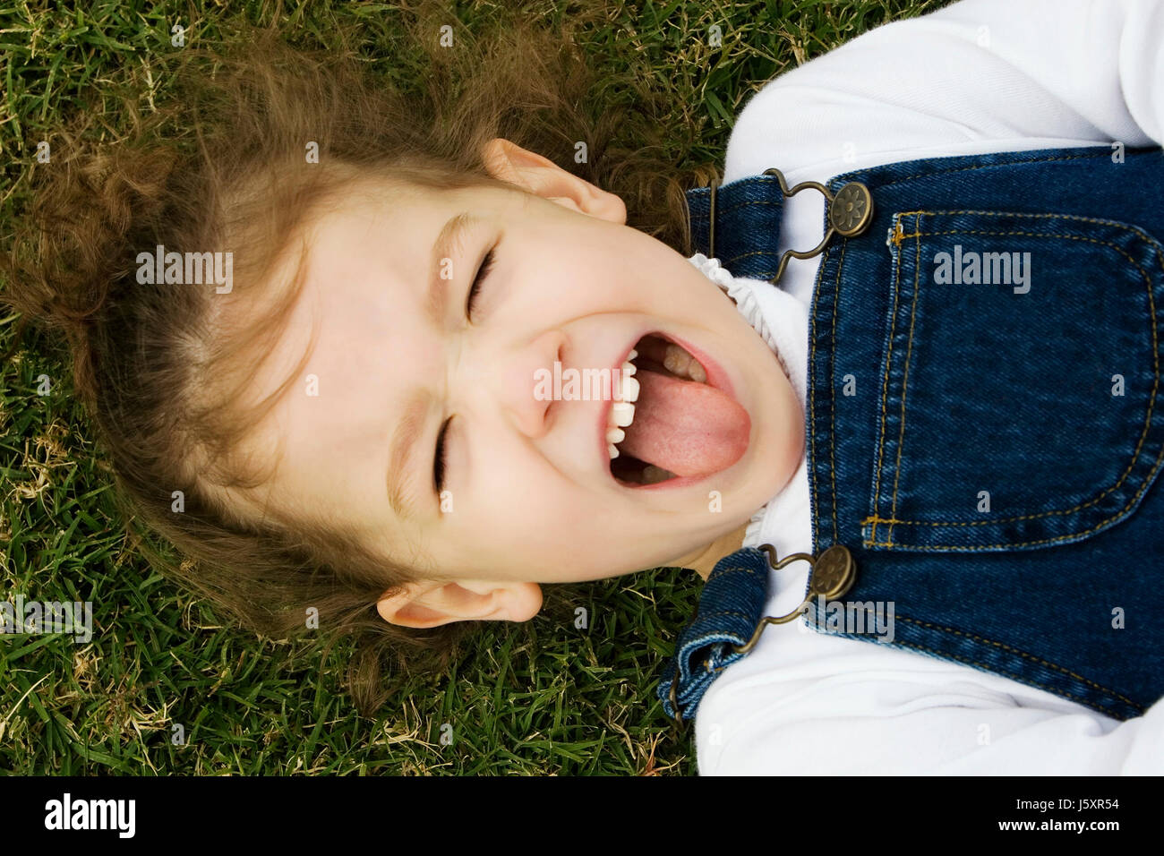 laugh laughs laughing twit giggle smile smiling laughter laughingly ...