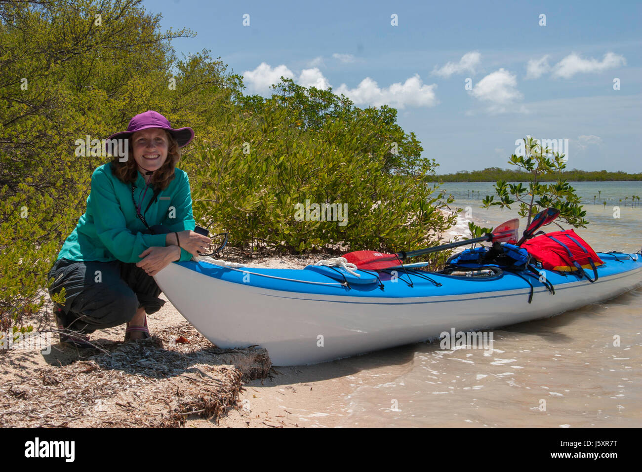 Kayak florida mangroves hi-res stock photography and images - Alamy