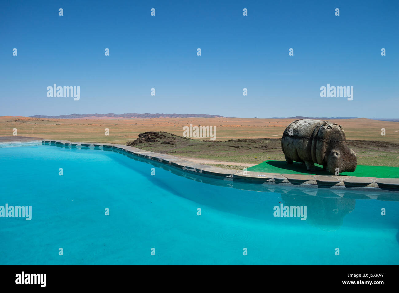 Solitaire palm hi-res stock photography and images - Alamy