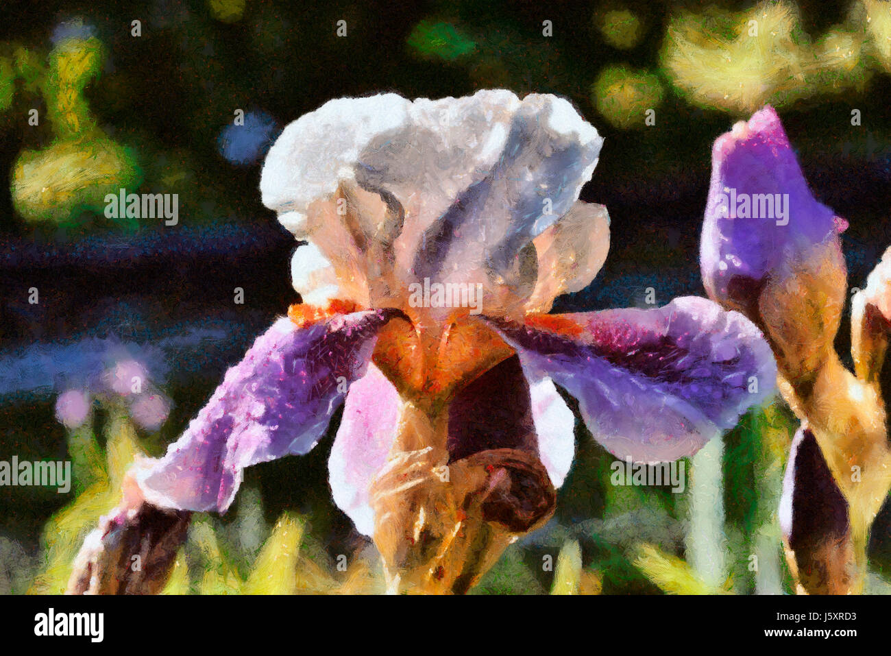 Iris flower in botanical garden Stock Photo - Alamy