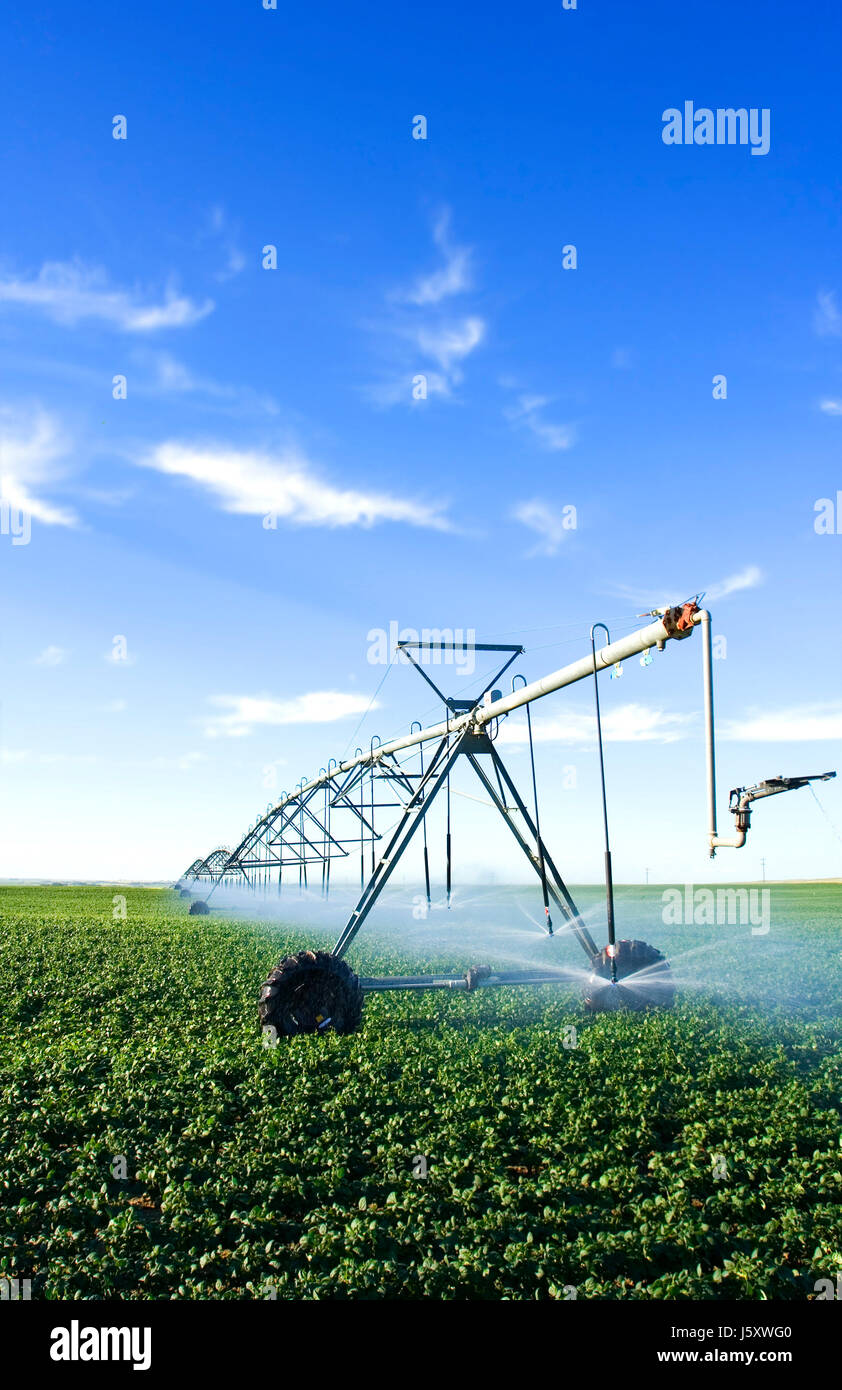 Machine watering potatoe field hi-res stock photography and images - Alamy