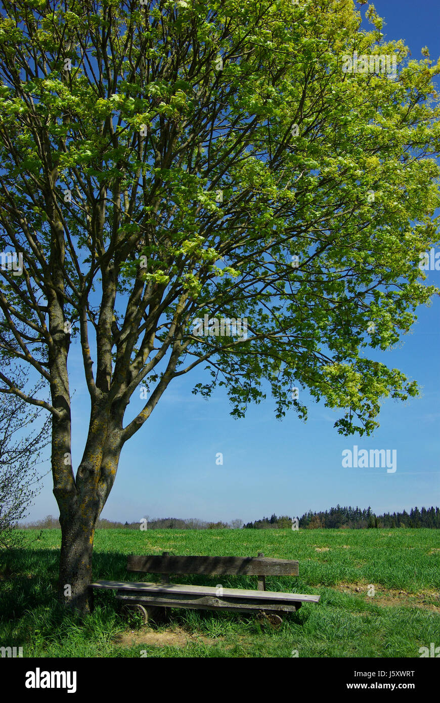 Baumblhen hi-res stock photography and images - Alamy