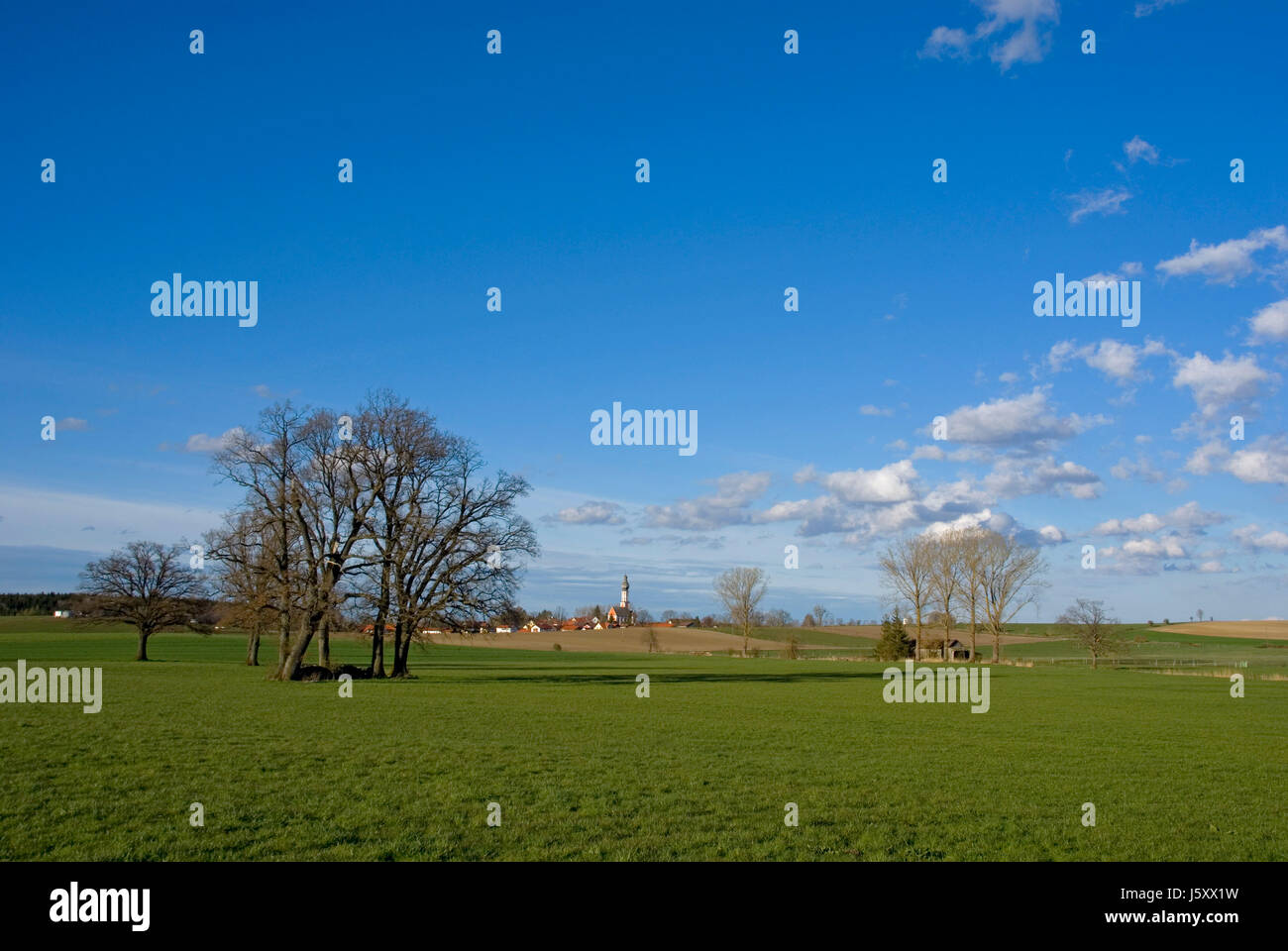 church tree field spring upper bavaria meadow grass lawn green blue ...