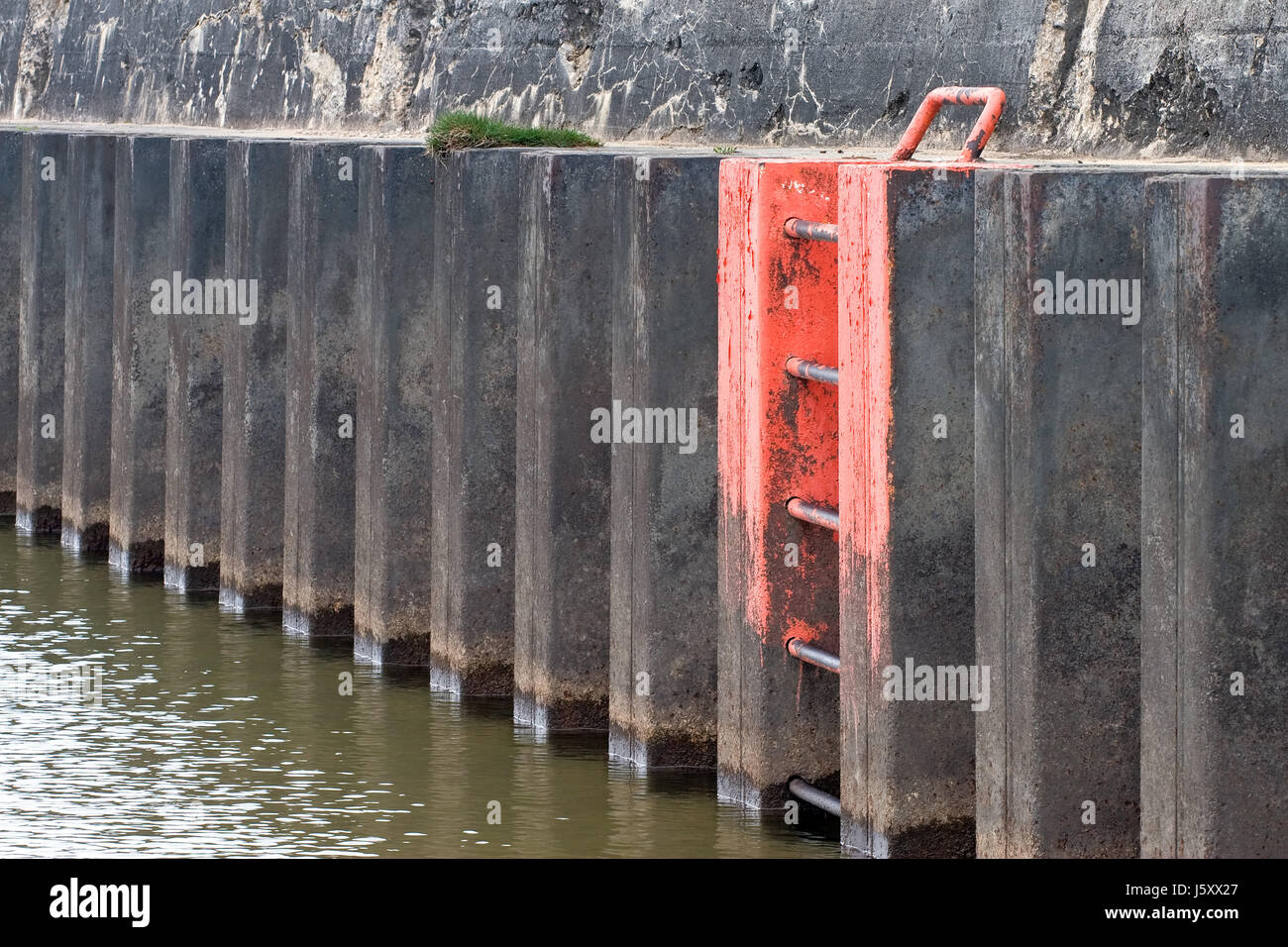 concrete fresh water lake inland water water ladder meadow grass lawn ...