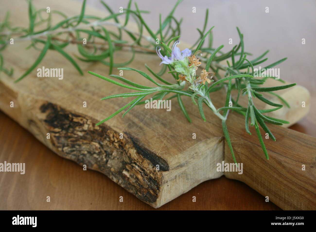 boil cooks boiling cooking wooden board carving board rosemary herbs ...
