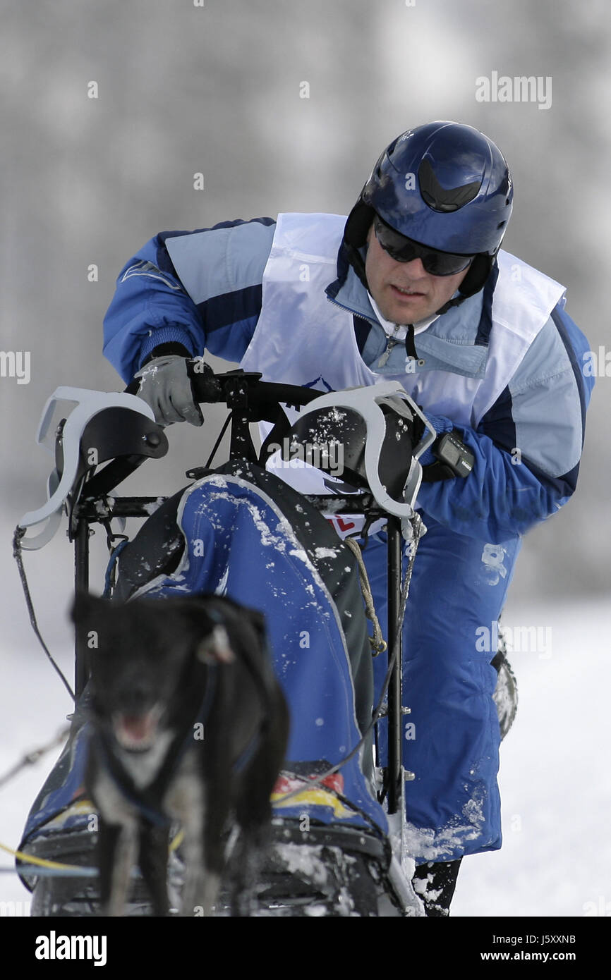 musher - musher Stock Photo - Alamy