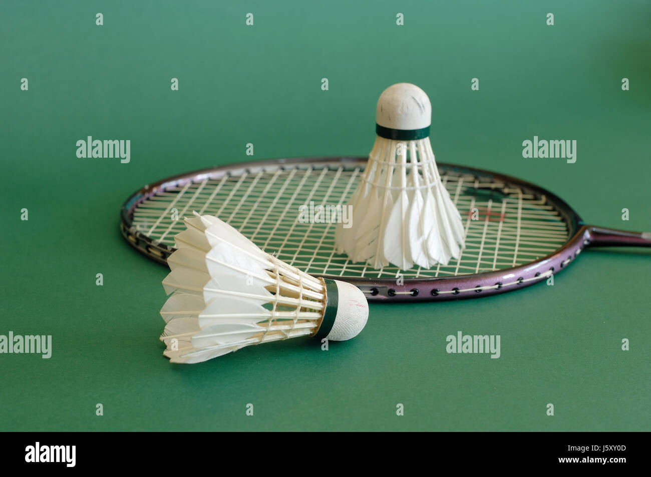 sport sports ball rackets churl hit badminton shuttlecock feather ...