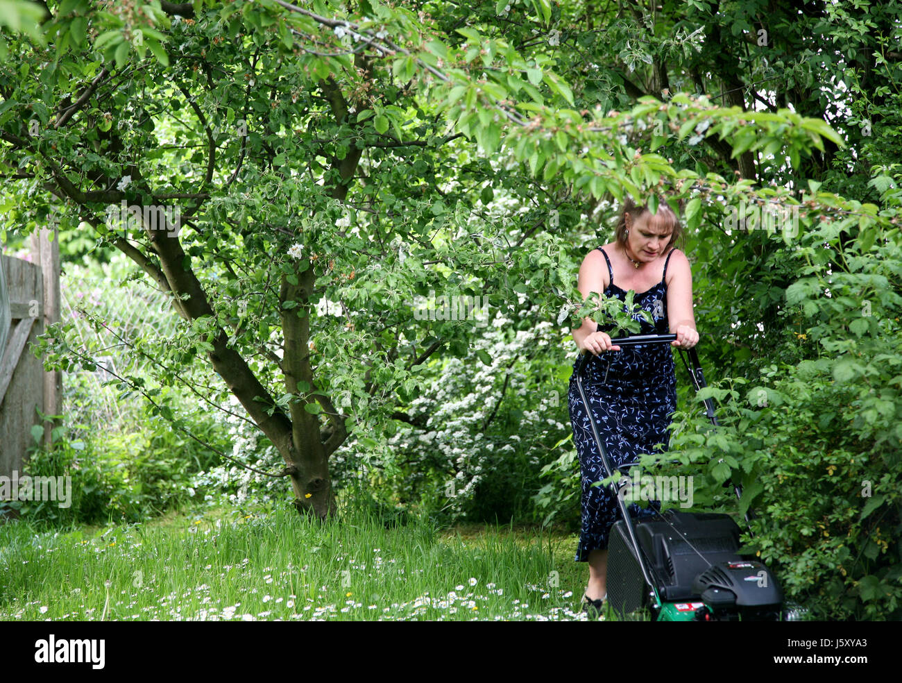 cut the lawn Stock Photo - Alamy