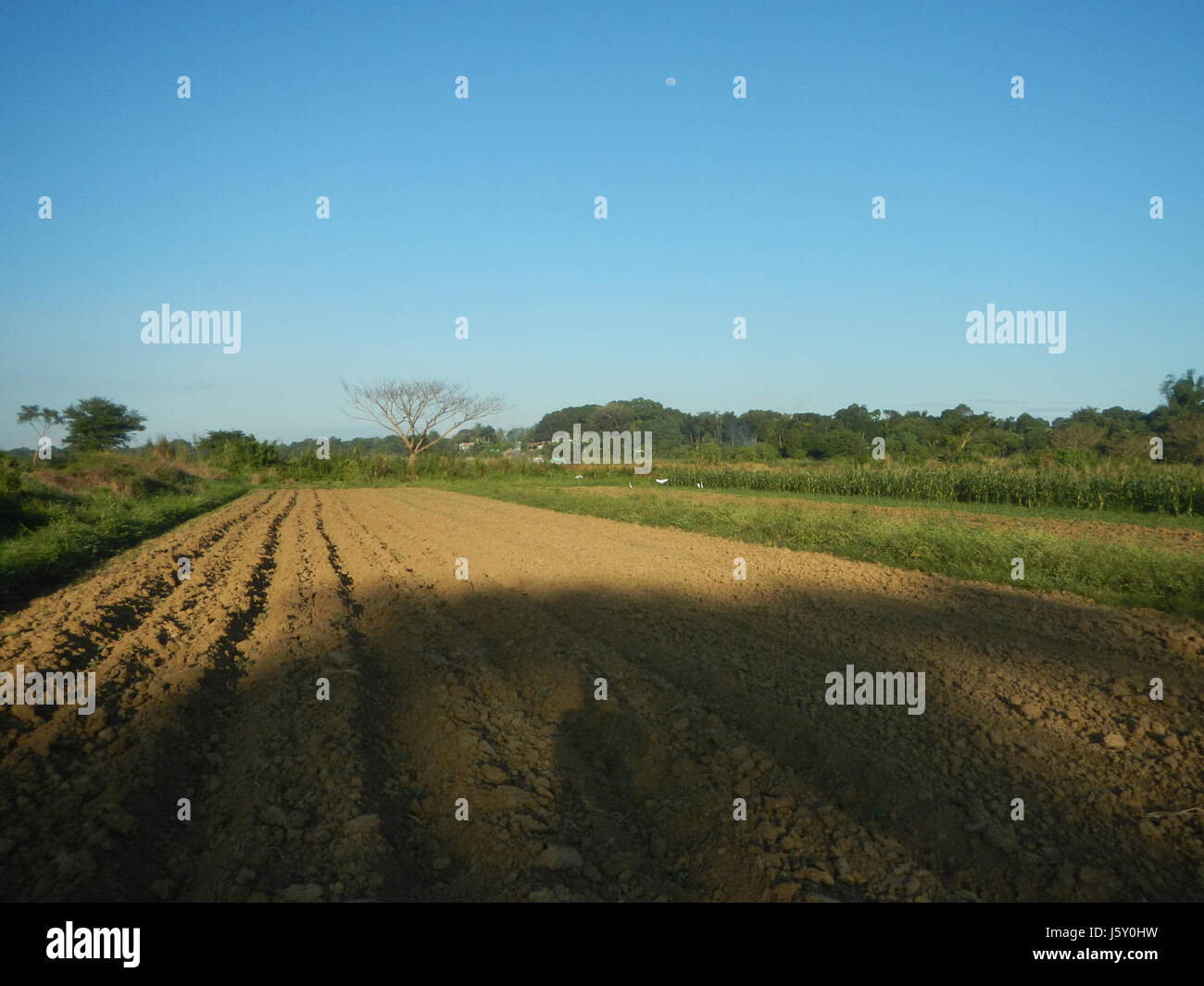 0109 Grasslands maize fields trees Angat River Tiaong, Baliuag San ...