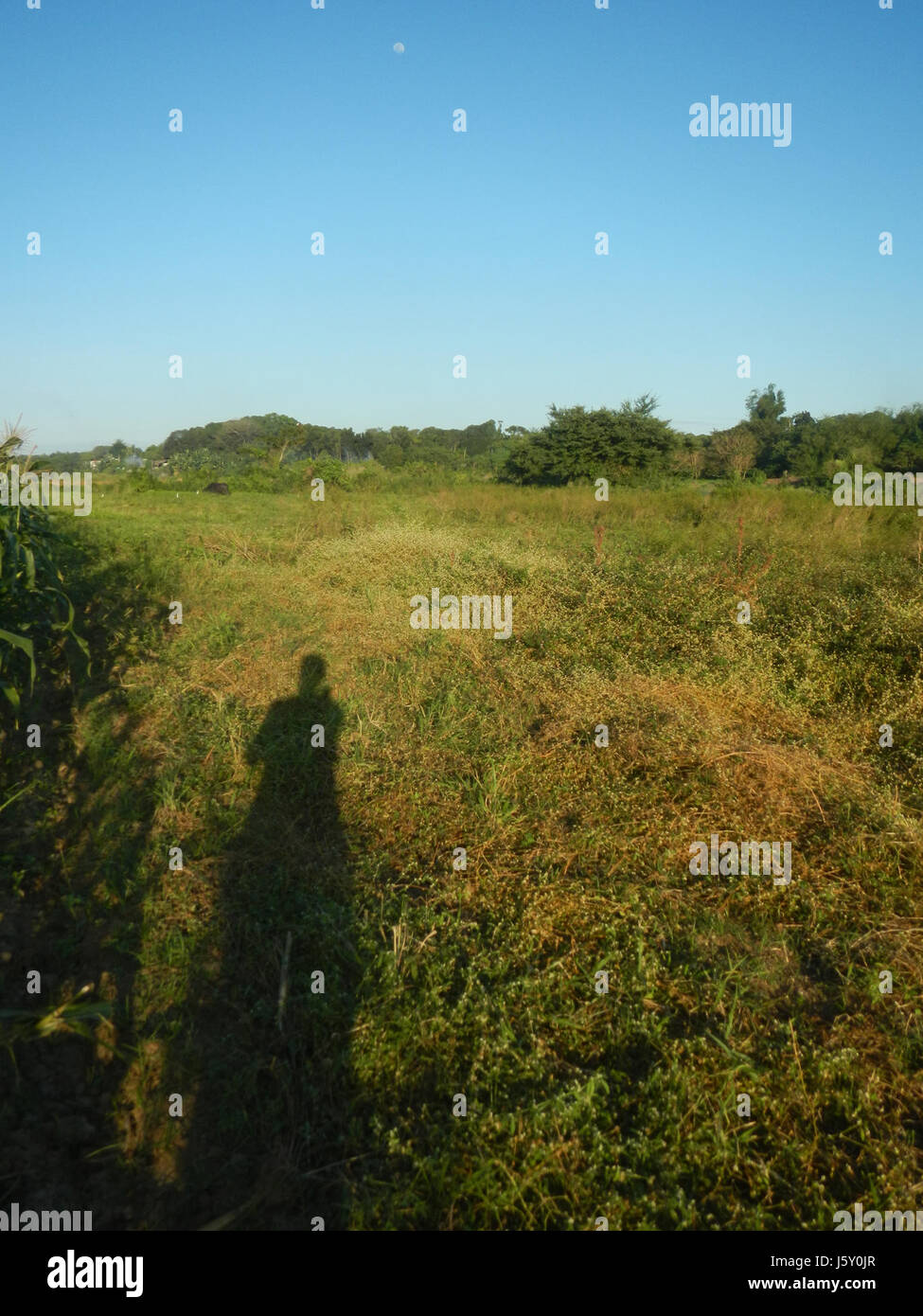 This image captures the rural landscape of Bulacan, Philippines ...