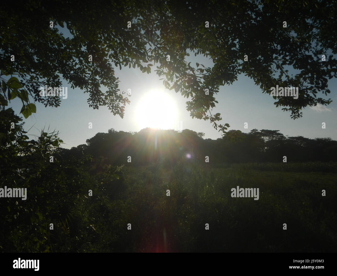 This image depicts the agricultural landscape of grasslands, maize ...
