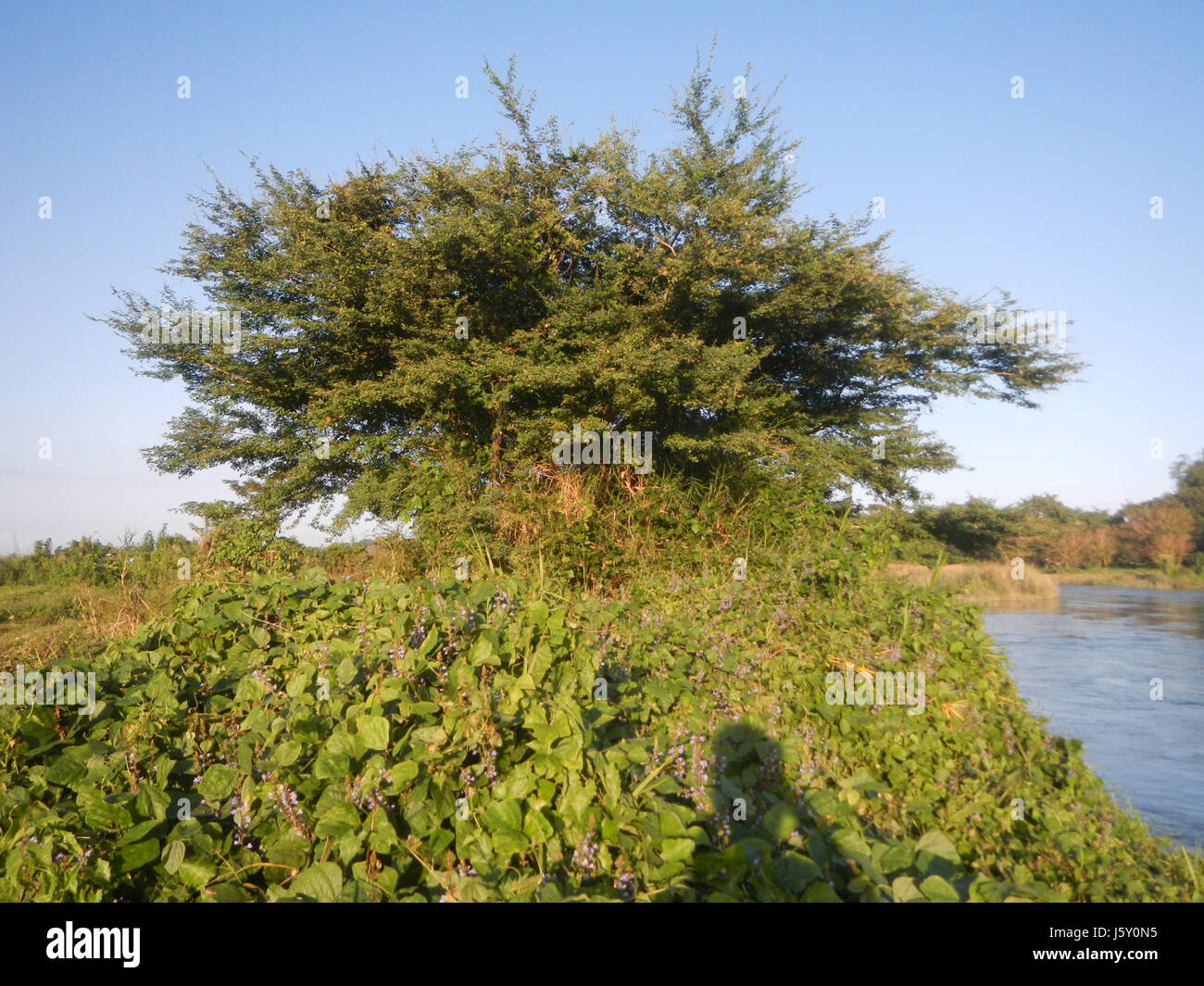 The image depicts the rural landscape of the grasslands and maize ...