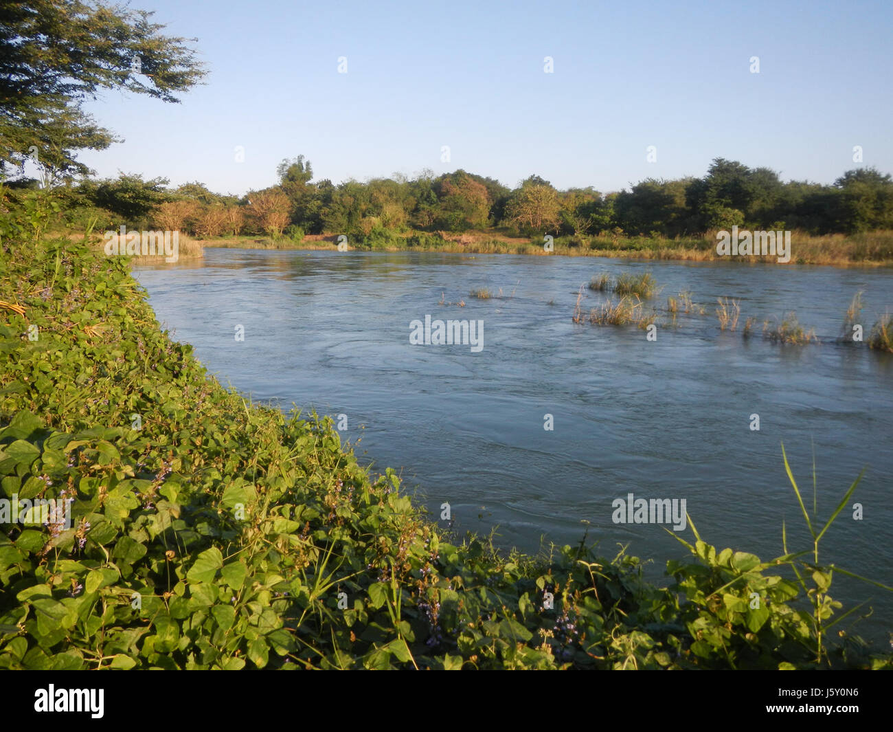 The image depicts the grasslands and maize fields near the Angat River ...