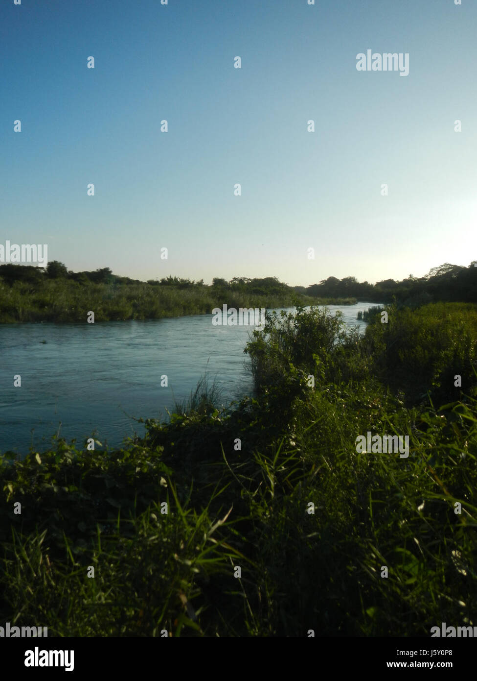 0235 Grasslands maize fields trees Angat River Tiaong, Baliuag San ...