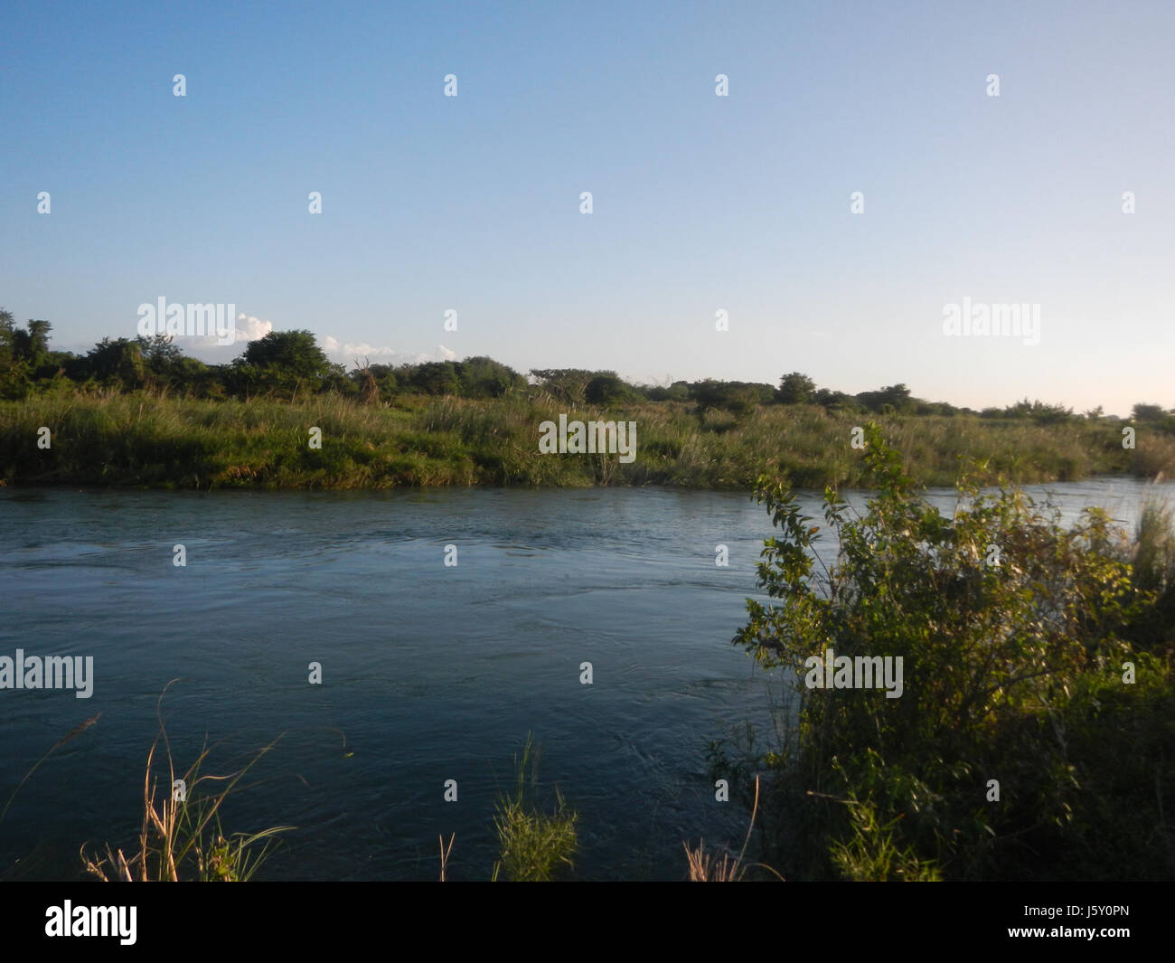 This image portrays the agricultural landscape of Angat River, with ...