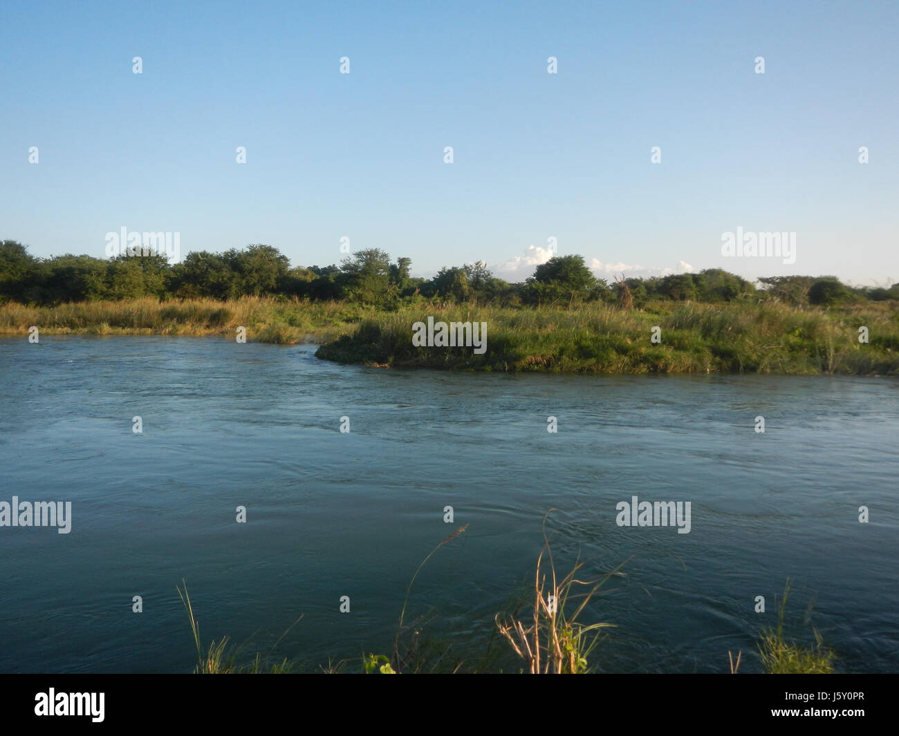 0235 Grasslands maize fields trees Angat River Tiaong, Baliuag San ...