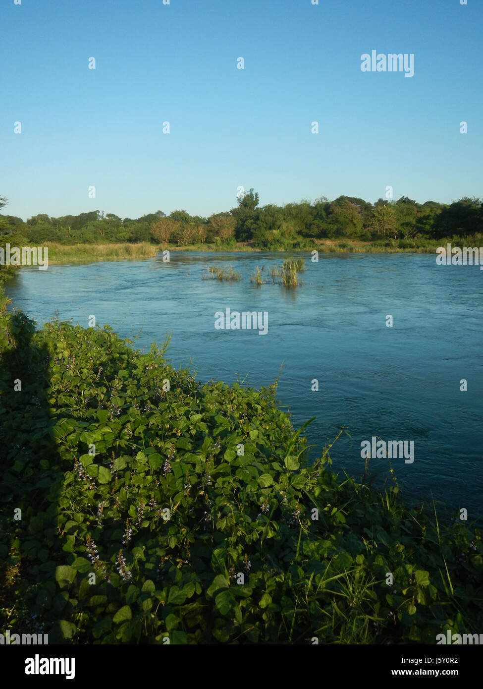 Photograph depicting the agricultural landscape of Bulacan, Philippines ...