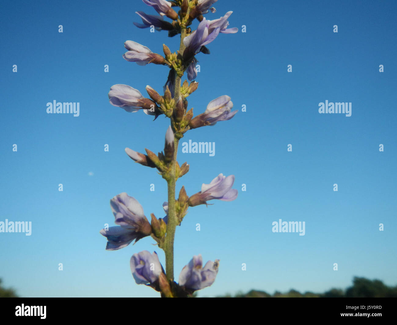 This photograph captures the diverse natural landscape of Bulacan ...