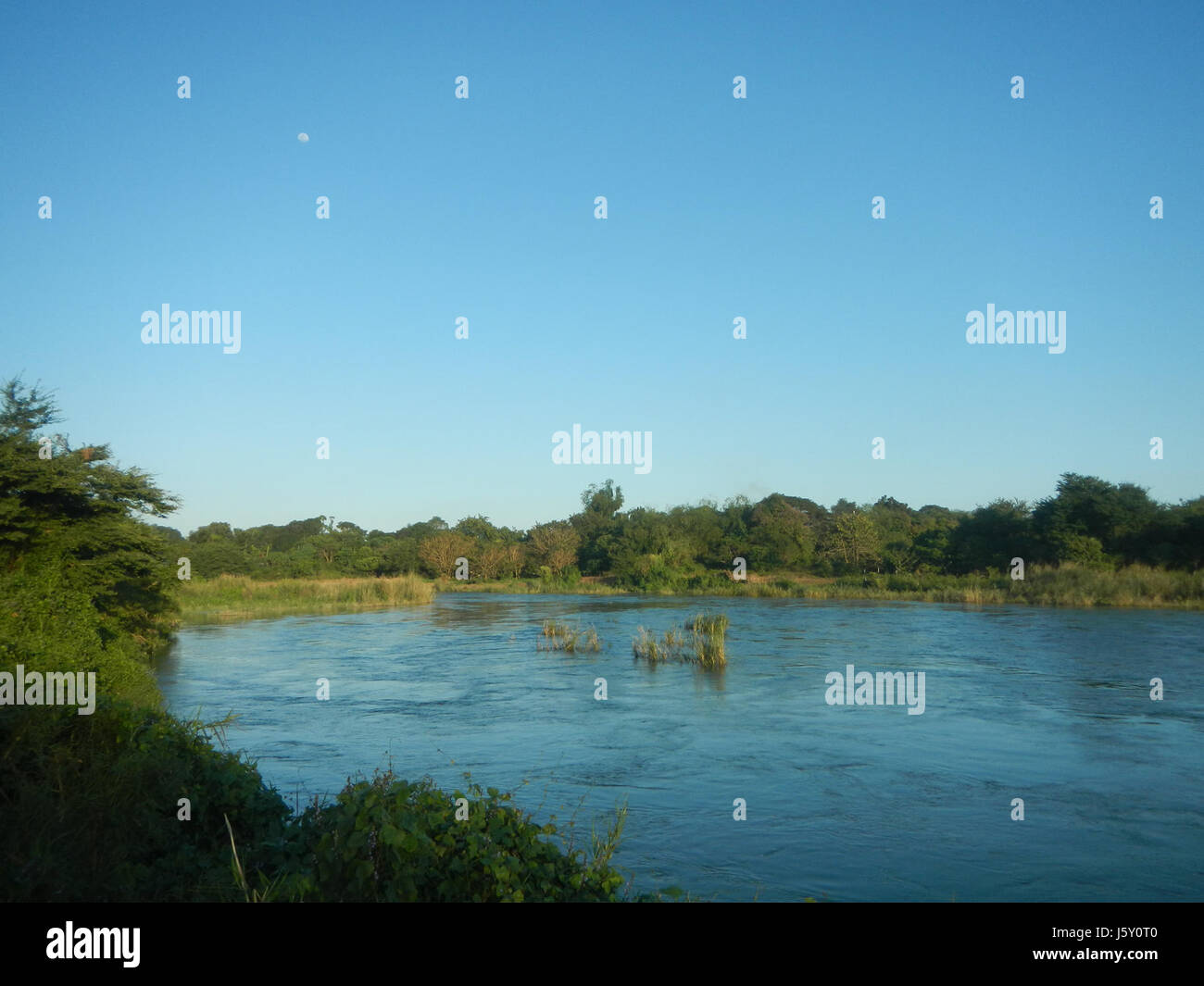 0235 Grasslands maize fields trees Angat River Tiaong, Baliuag San ...