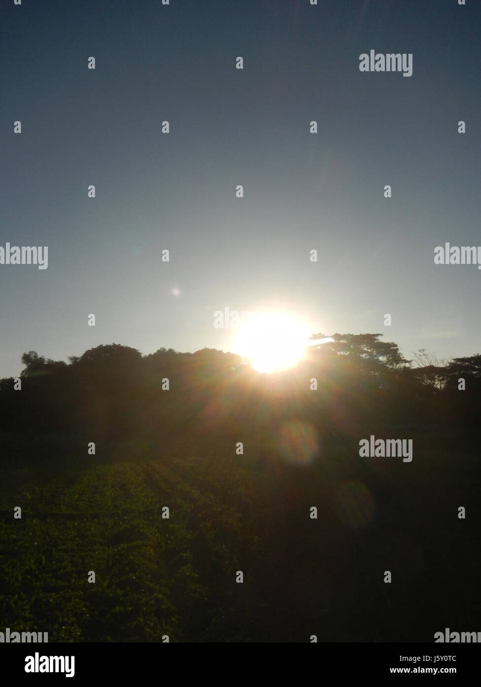 0235 Grasslands maize fields trees Angat River Tiaong, Baliuag San ...
