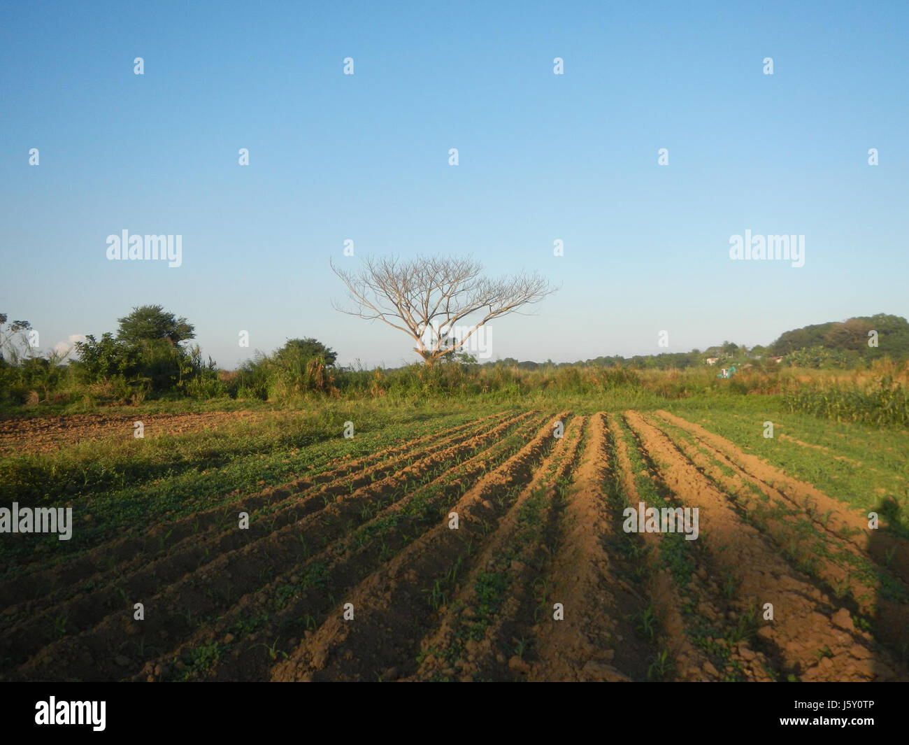This image captures the landscape along the Angat River in the ...