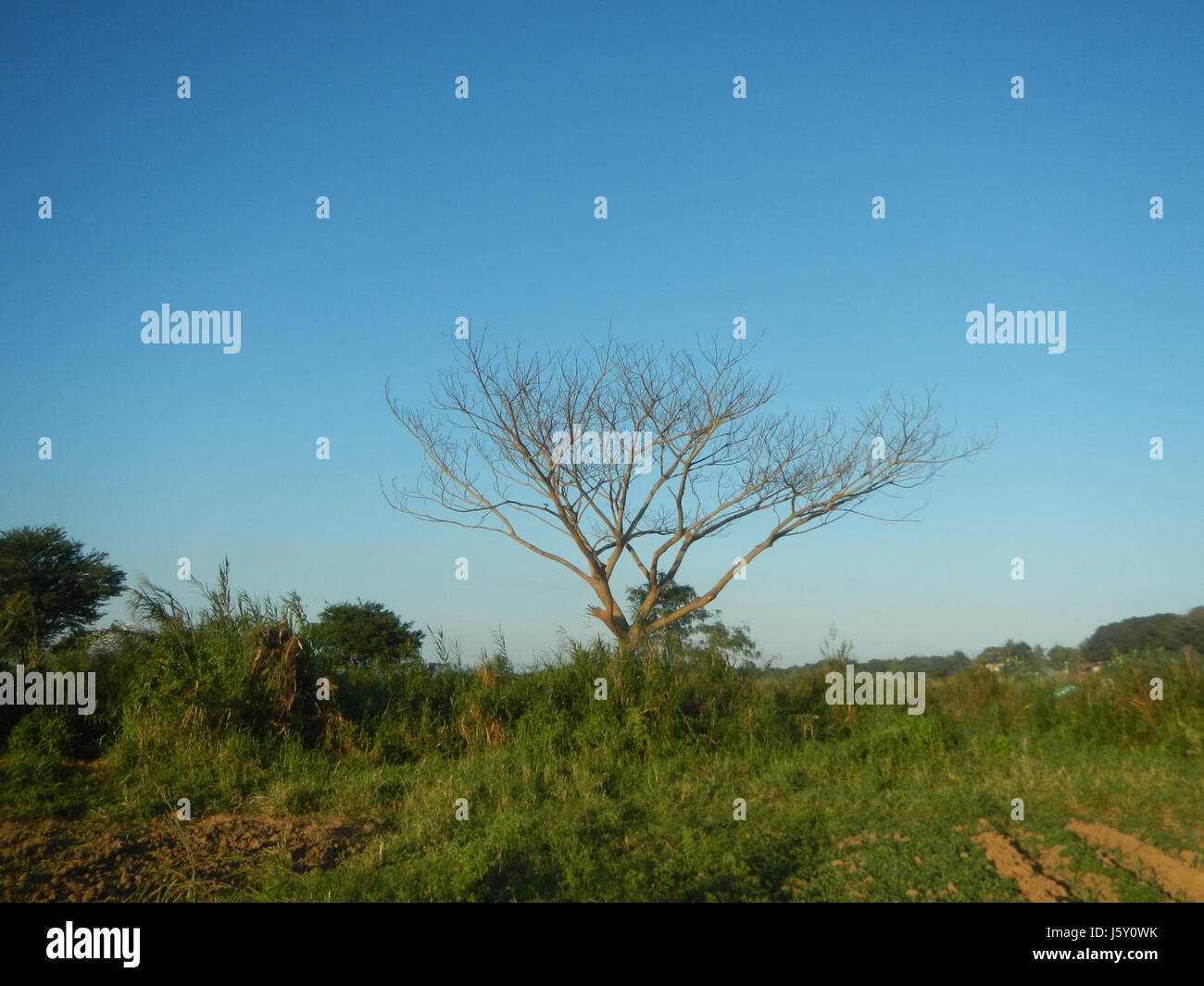 This title describes an area in Bulacan, Philippines, focusing on ...