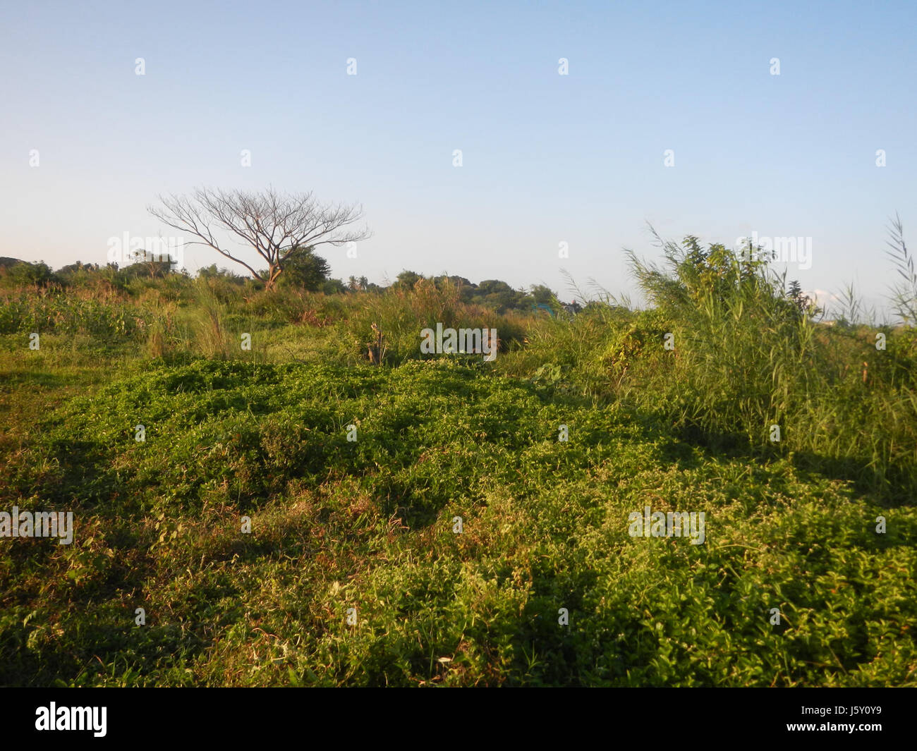 This image illustrates the rural landscape along the Angat River ...