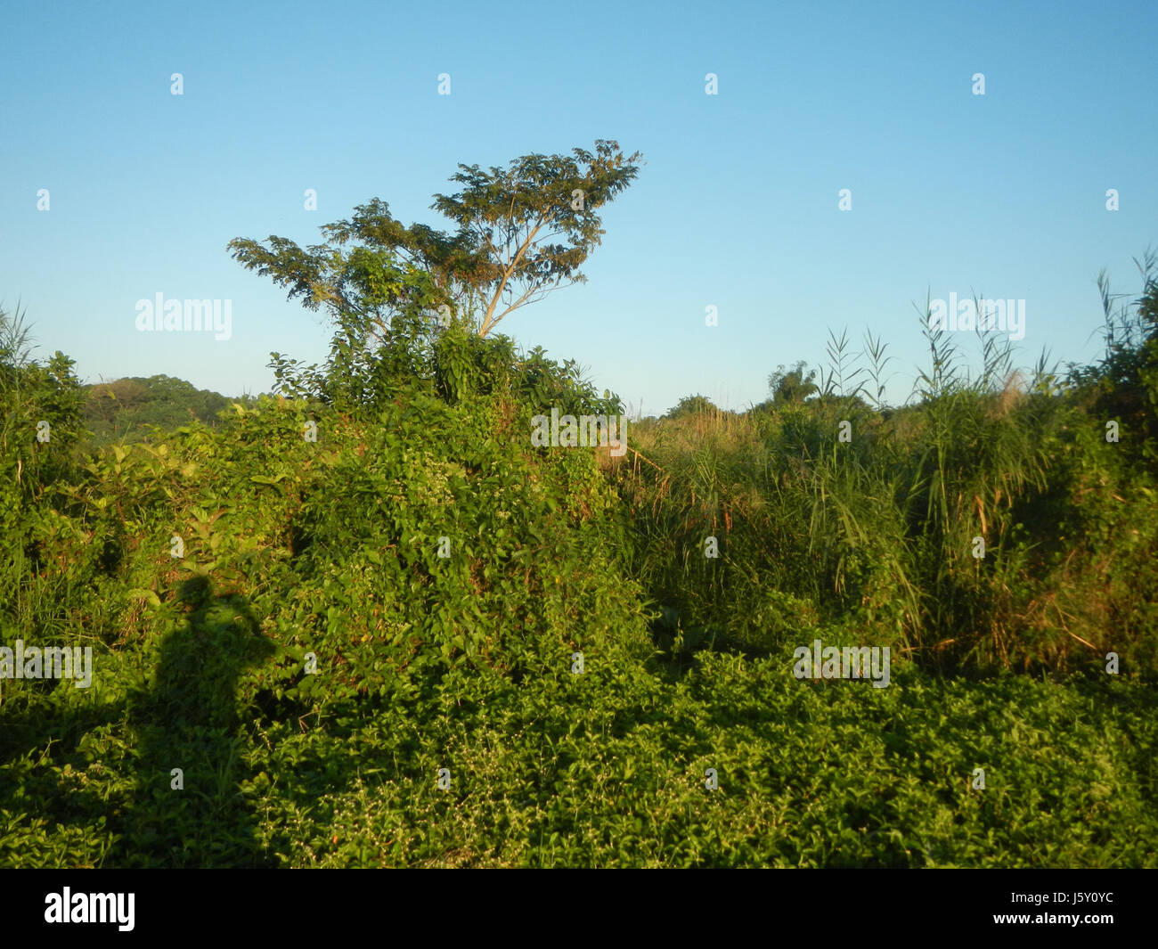 This project image shows the construction of riprap for slope ...