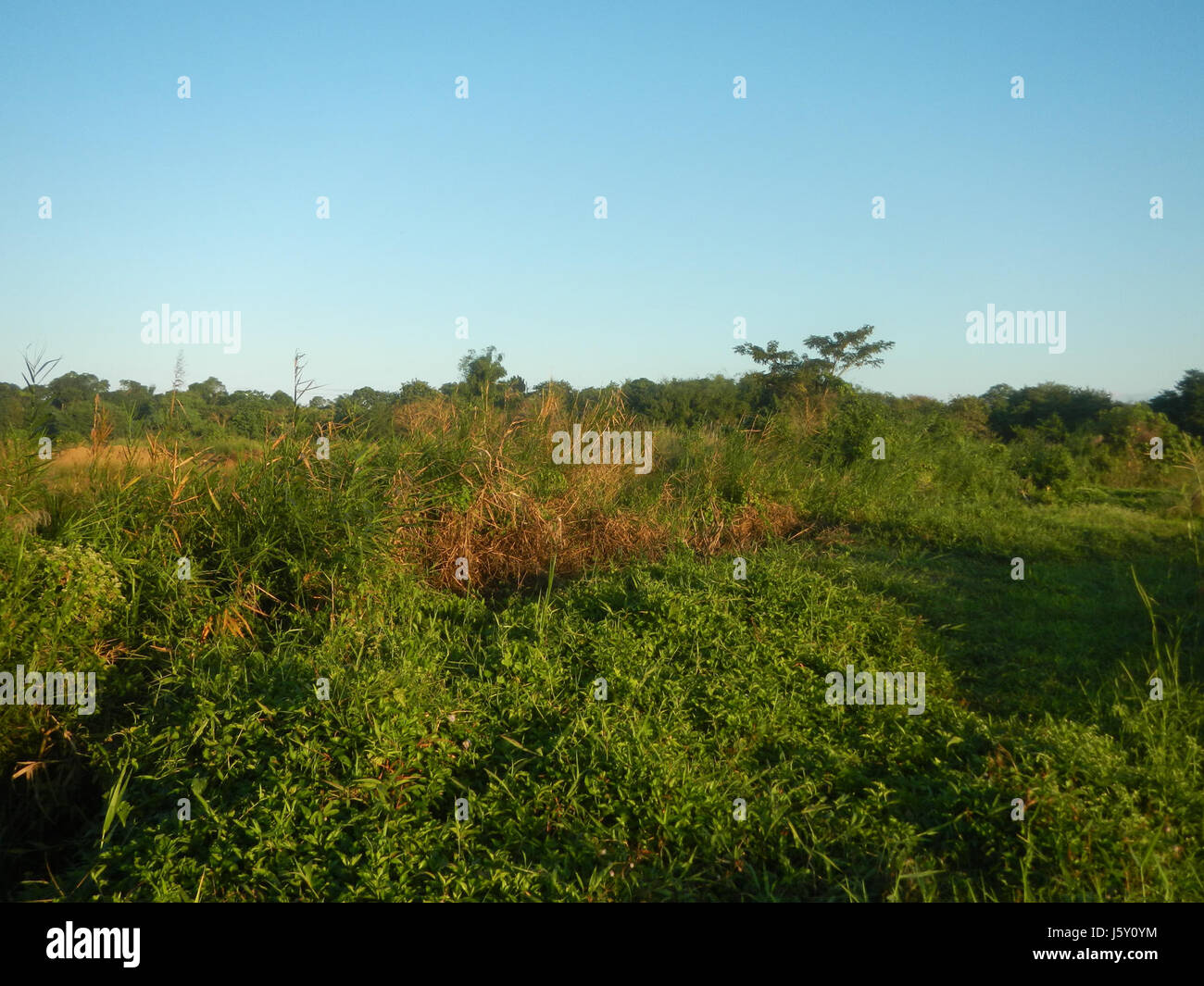 The construction of riprap slope protection along the Angat Riverbanks ...