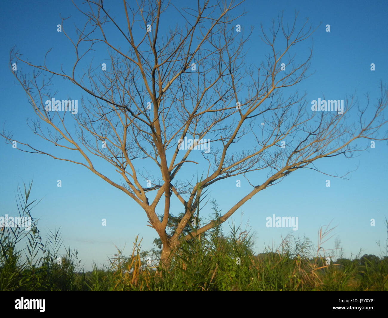 This image depicts the construction of riprap slope protection along ...